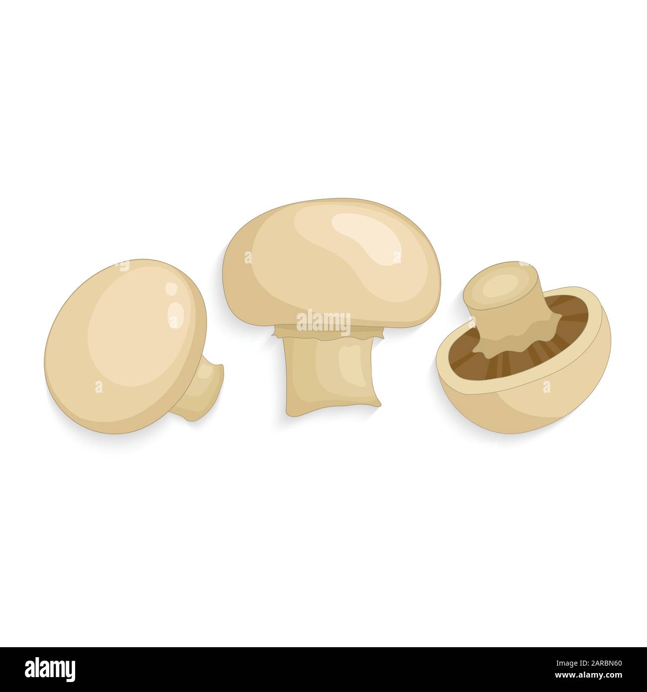 Champignon vector hi-res stock photography and images - Alamy