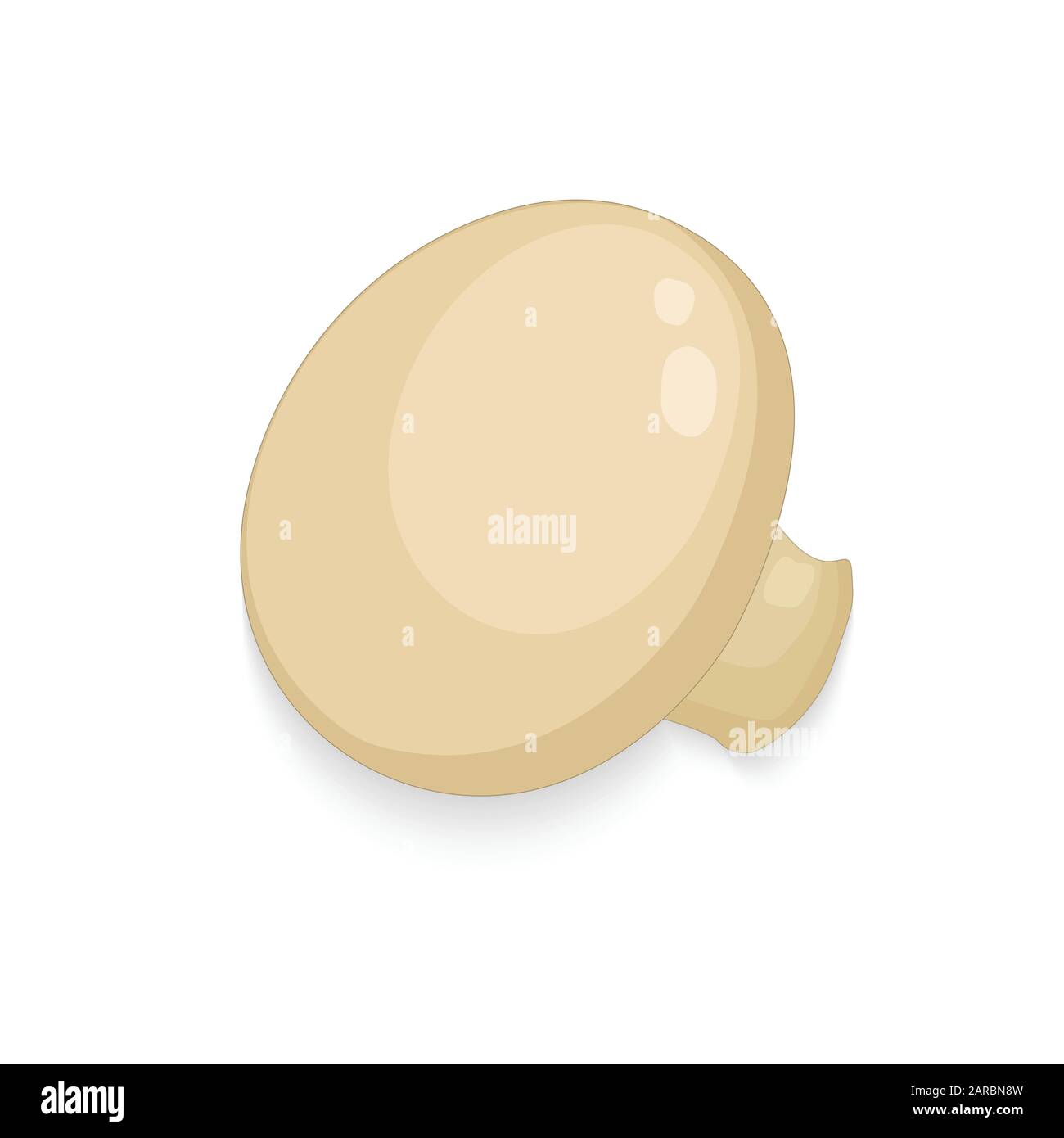 Champignon mushrooms. Fresh organic realistic mushrooms, vector ...