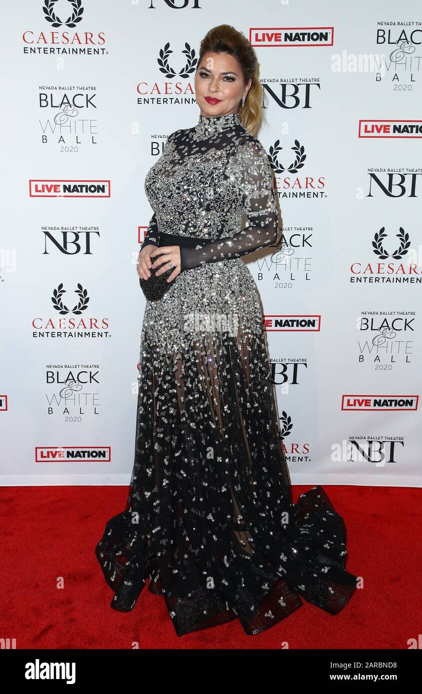 Las Vegas, NV, USA. 25th Jan, 2020. Shania Twain at arrivals for Nevada ...