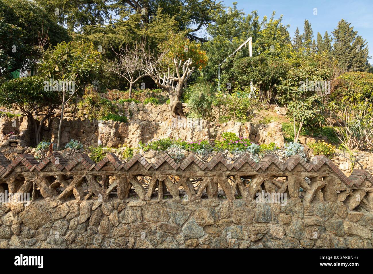 Park guell plants garden barcelona hi-res stock photography and images ...