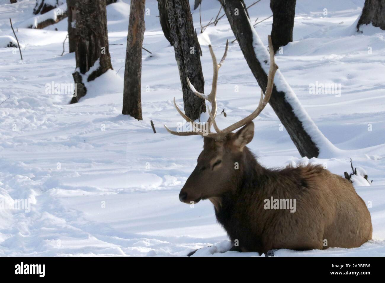 Hoping for a handout hi-res stock photography and images - Alamy