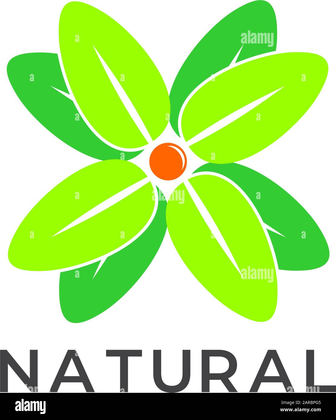 symbol logo vector of natural leaf geometric clear design Stock Vector ...