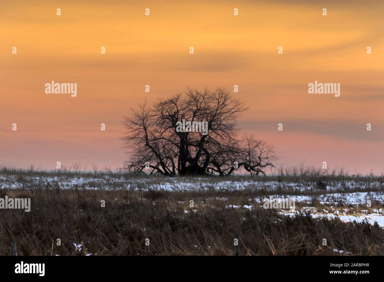 Amherst park hi-res stock photography and images - Alamy