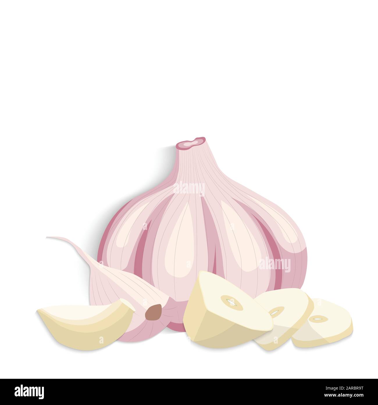 Realistic fresh organic garlic. Garlic bulb. Garlic cloves. vector ...