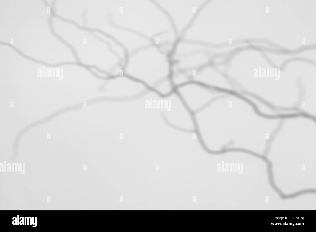 Background blurred shadows branches Black and White Stock Photos ...