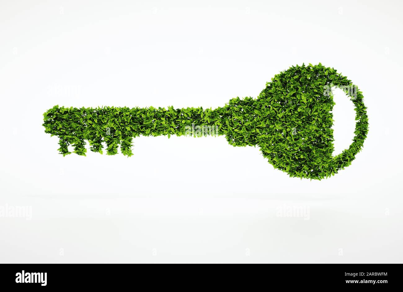 Isolated 3d render natural key symbol with white background Stock Photo ...