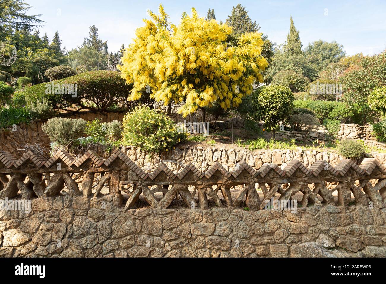 Park guell plants garden barcelona hi-res stock photography and images ...