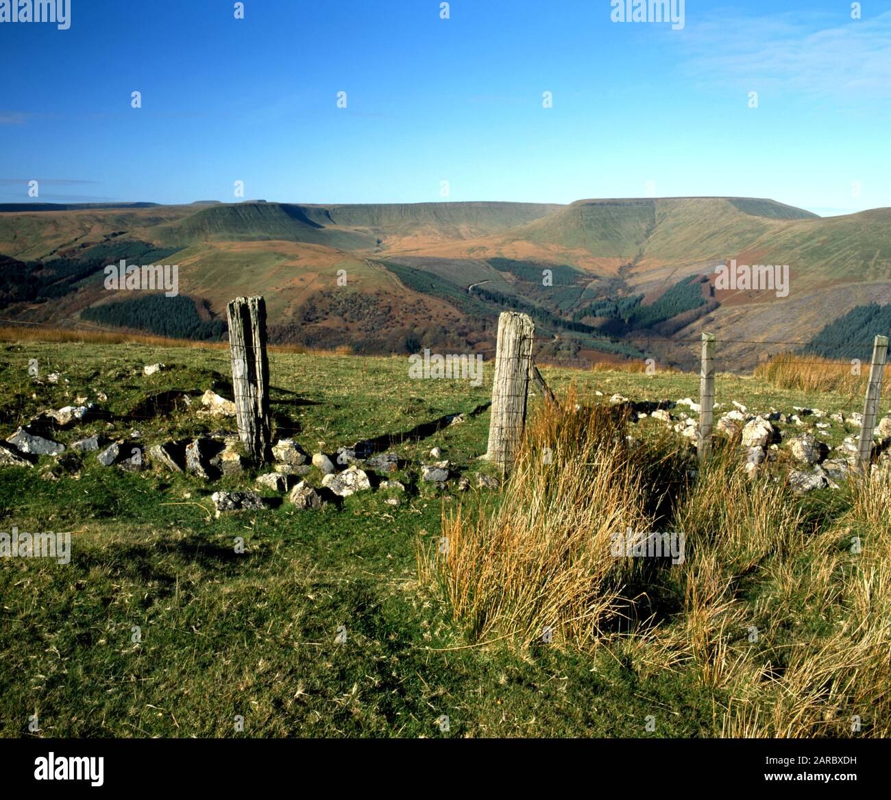 Gleision hi-res stock photography and images - Alamy