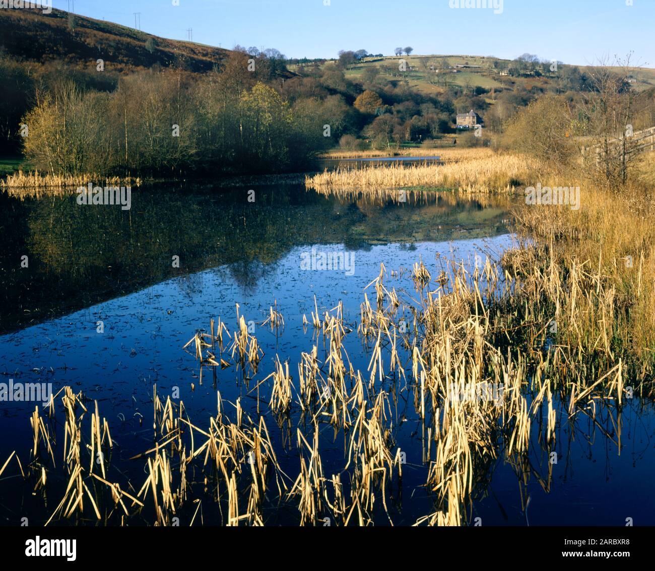 Lake Parc Cwm Darran Country Park, near Bargoed, Rhymney Valley, South ...