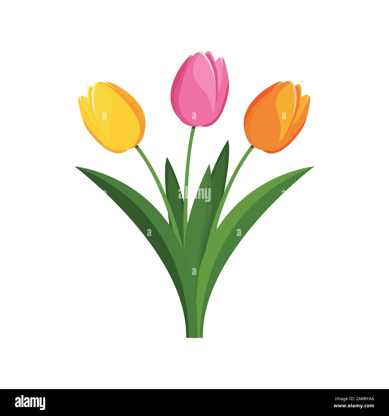 Tulips netherlands Stock Vector Images - Alamy