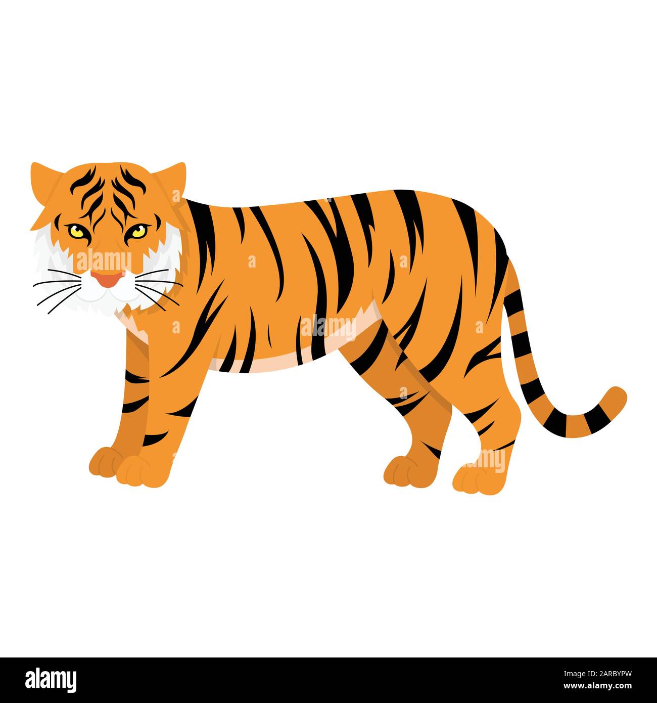 Asian bengal tiger, vector illustration Stock Vector Image & Art - Alamy