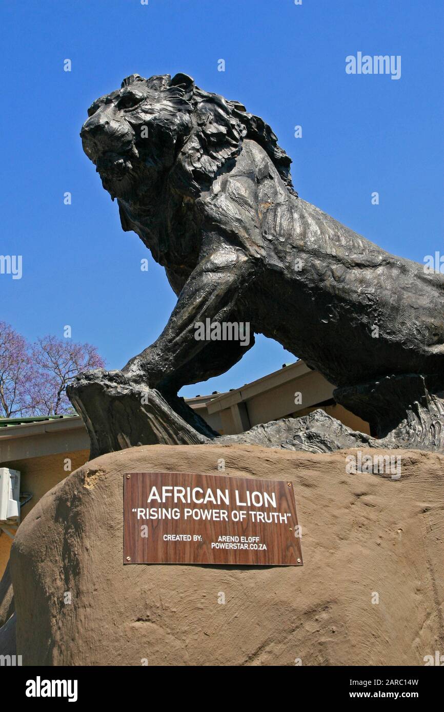 Statue of African lion, Lion & Safari Park, Gauteng, South Africa Stock ...