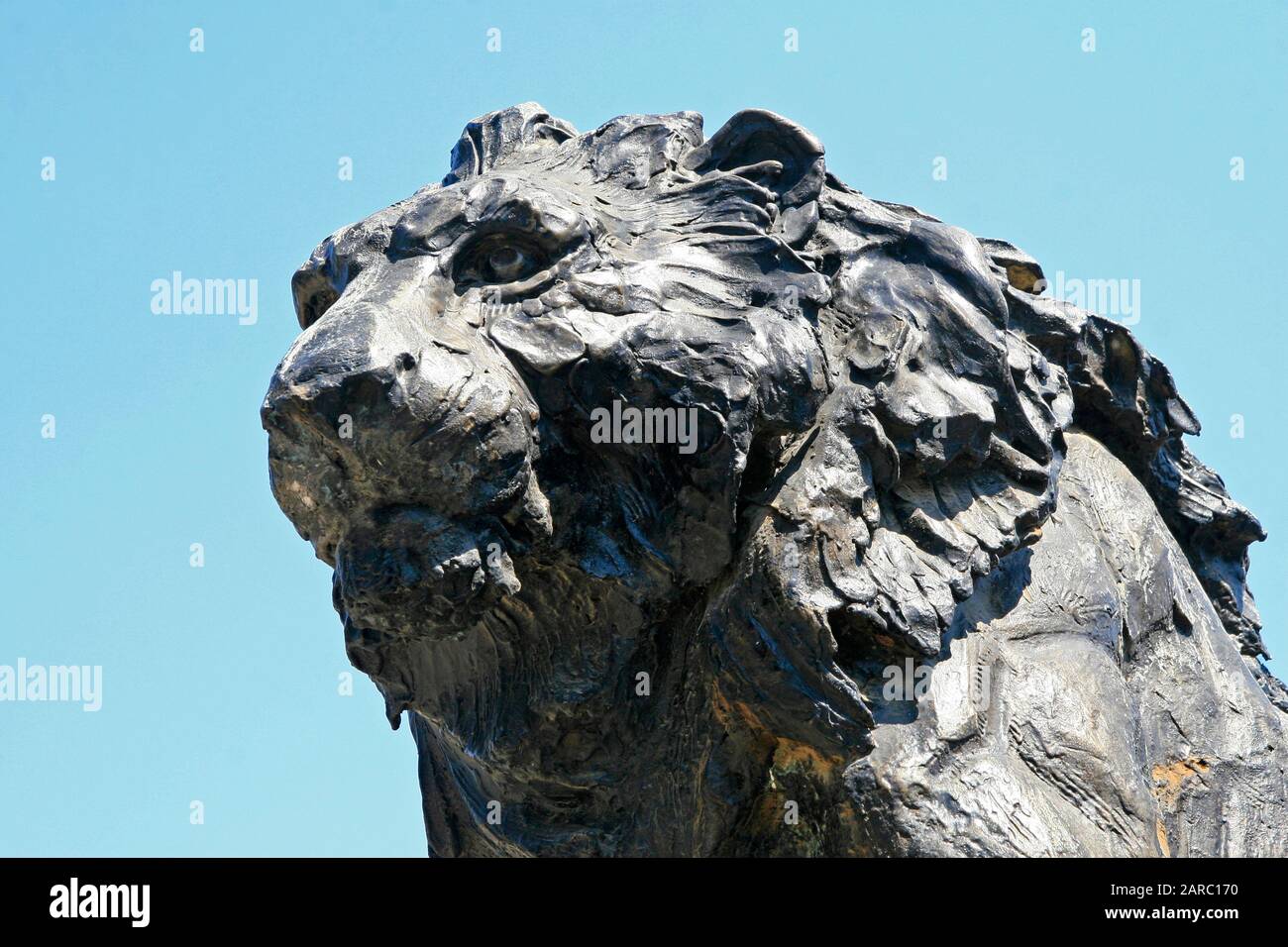 Statue of African lion, Lion & Safari Park, Gauteng, South Africa Stock ...