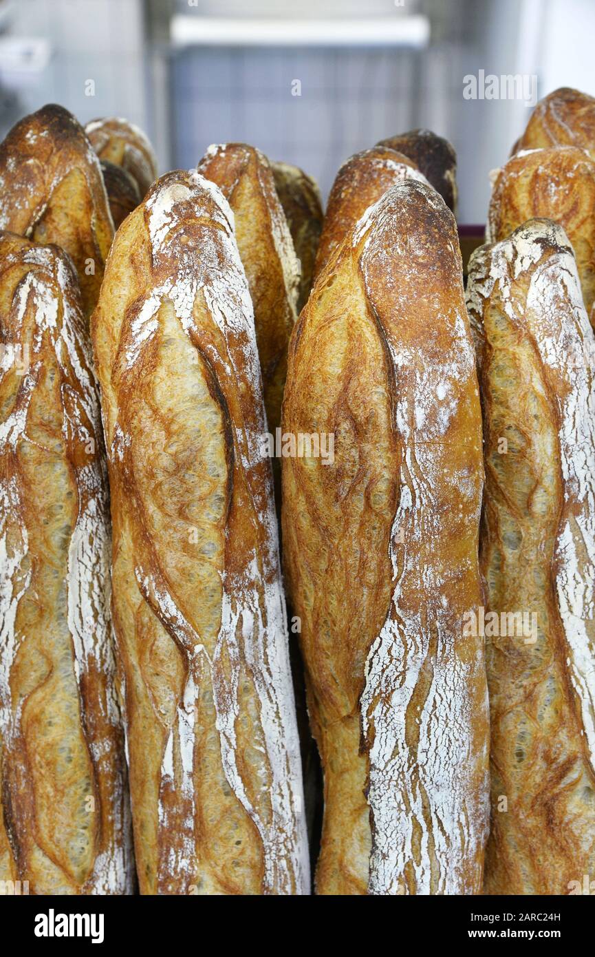 Real French Bread - Paris - France Stock Photo - Alamy