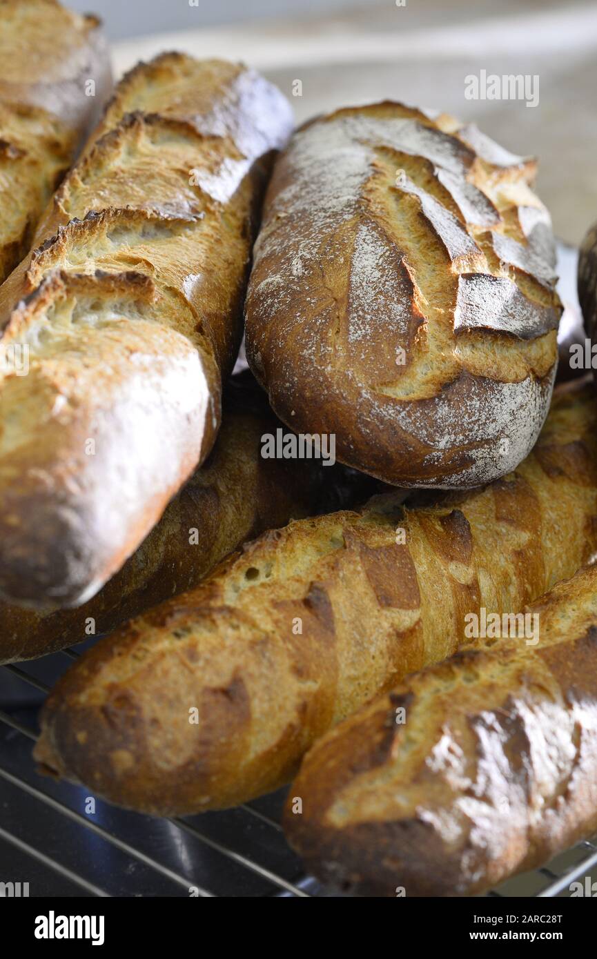 Real tradition french baguette hi-res stock photography and images - Alamy