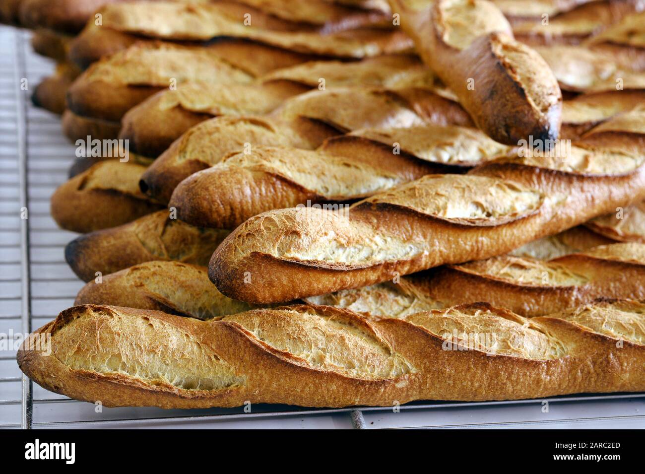 Real French Bread - Paris - France Stock Photo - Alamy