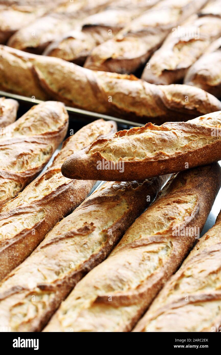 Real French Bread - Paris - France Stock Photo - Alamy