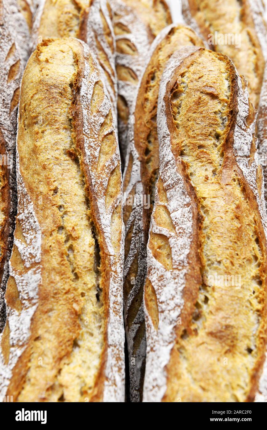 Real French Bread - Paris - France Stock Photo - Alamy