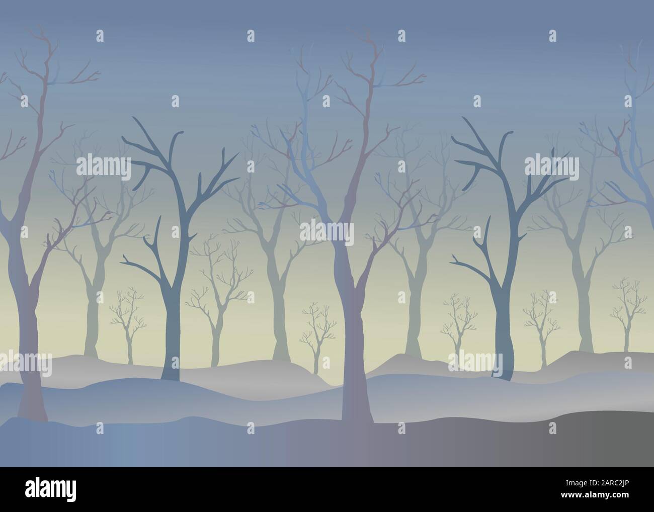 Winter Trees Background. Winter landscape with trees, fog. Cloudy Foggy ...