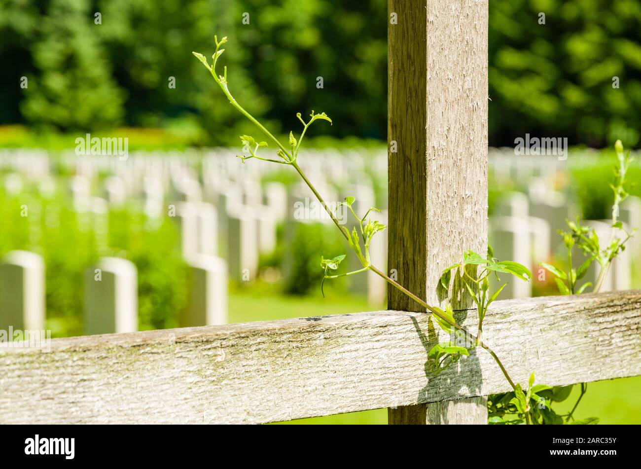 Durnbach war cemetery hi-res stock photography and images - Alamy