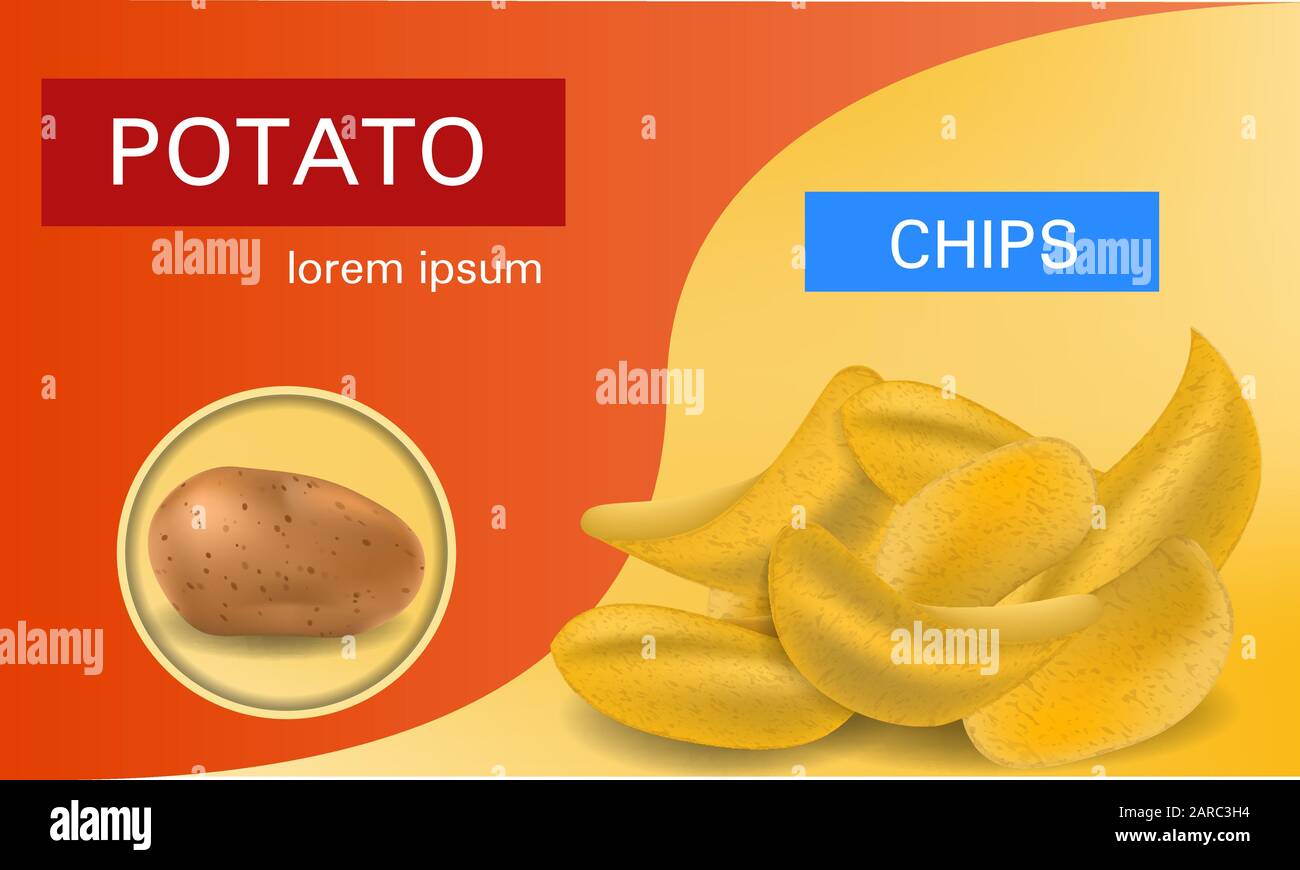 Potato concept background, realistic style Stock Vector Image & Art - Alamy