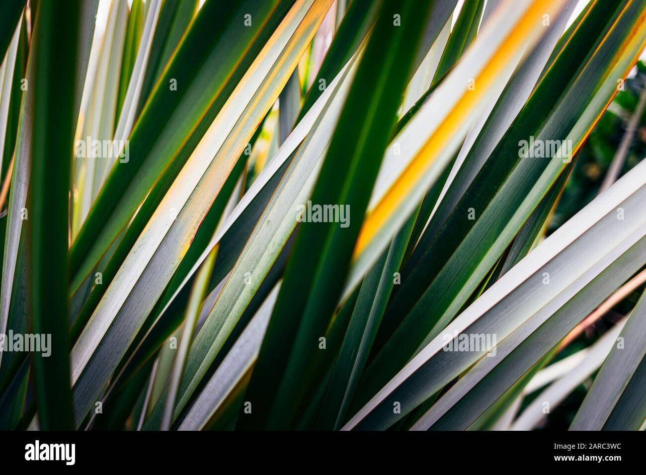 Bright strong colors hi-res stock photography and images - Alamy