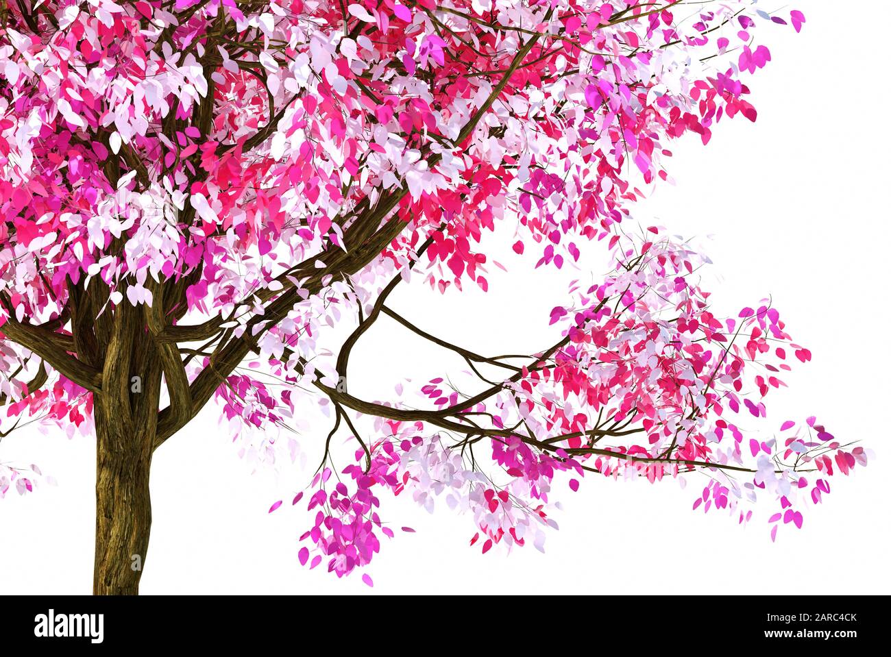 3d render image of pink spring tree pattern with white background Stock ...