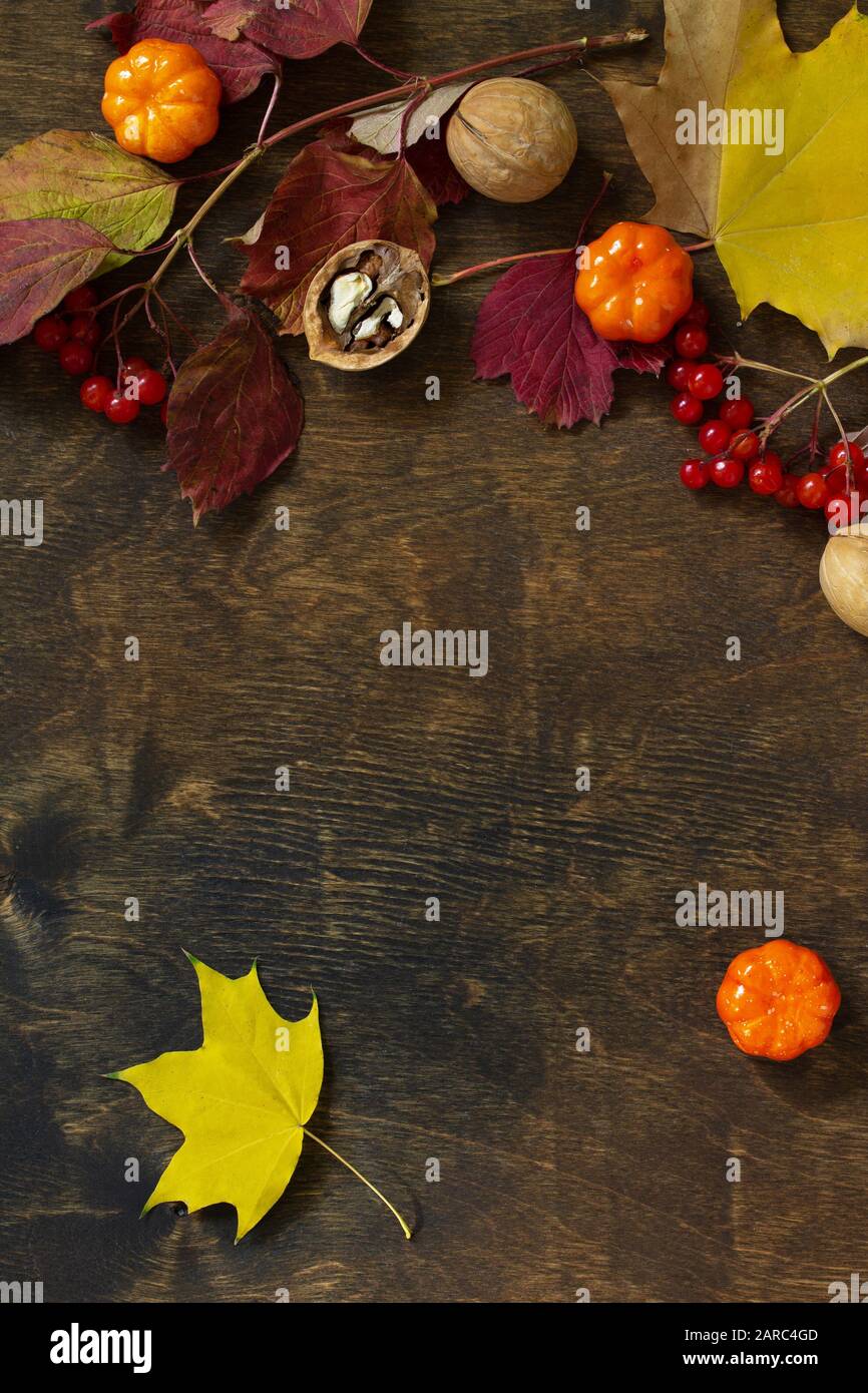 Autumn backgrounds. Thanksgiving or autumn harvest table setting. Top ...