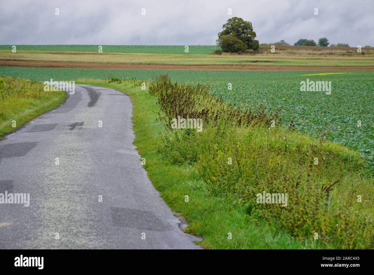 Seldom come by hi-res stock photography and images - Alamy