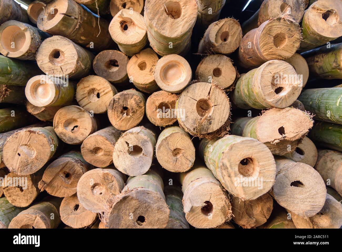 A lot of fresh Bamboo Log Stock Photo - Alamy