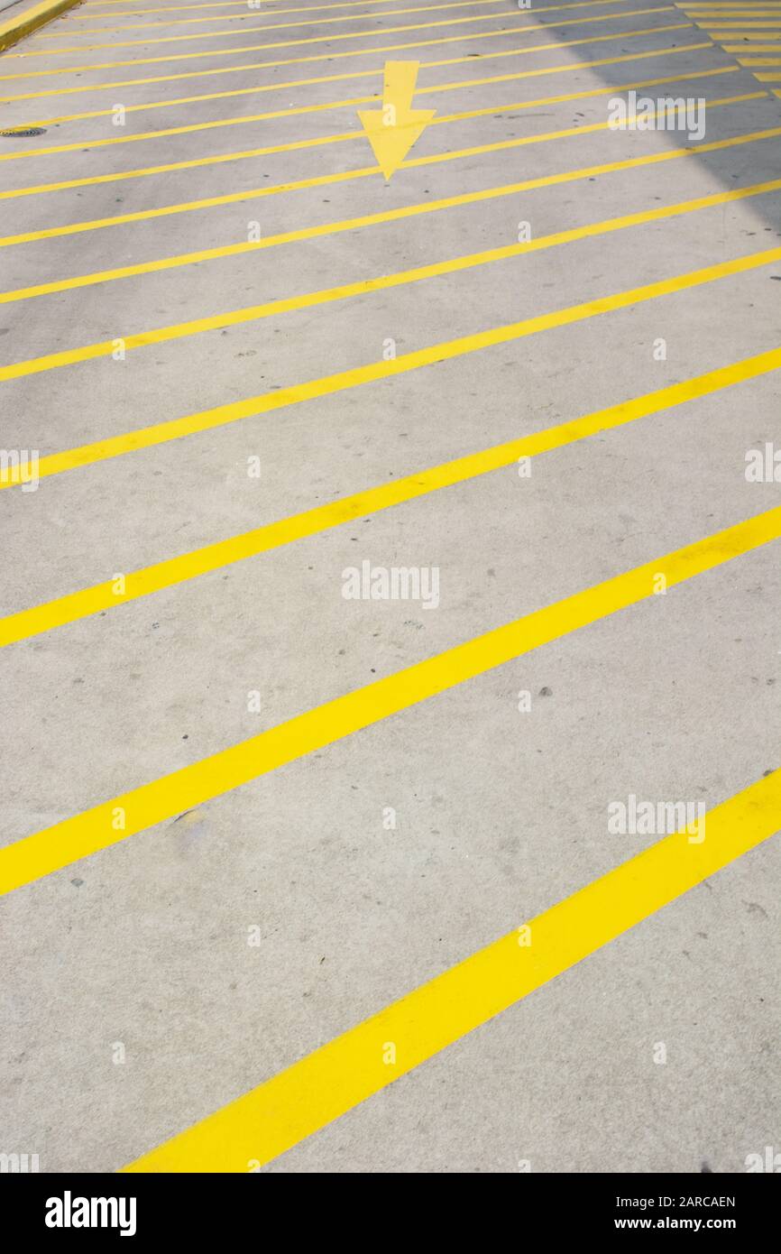 Zebra walk cycle hi-res stock photography and images - Alamy