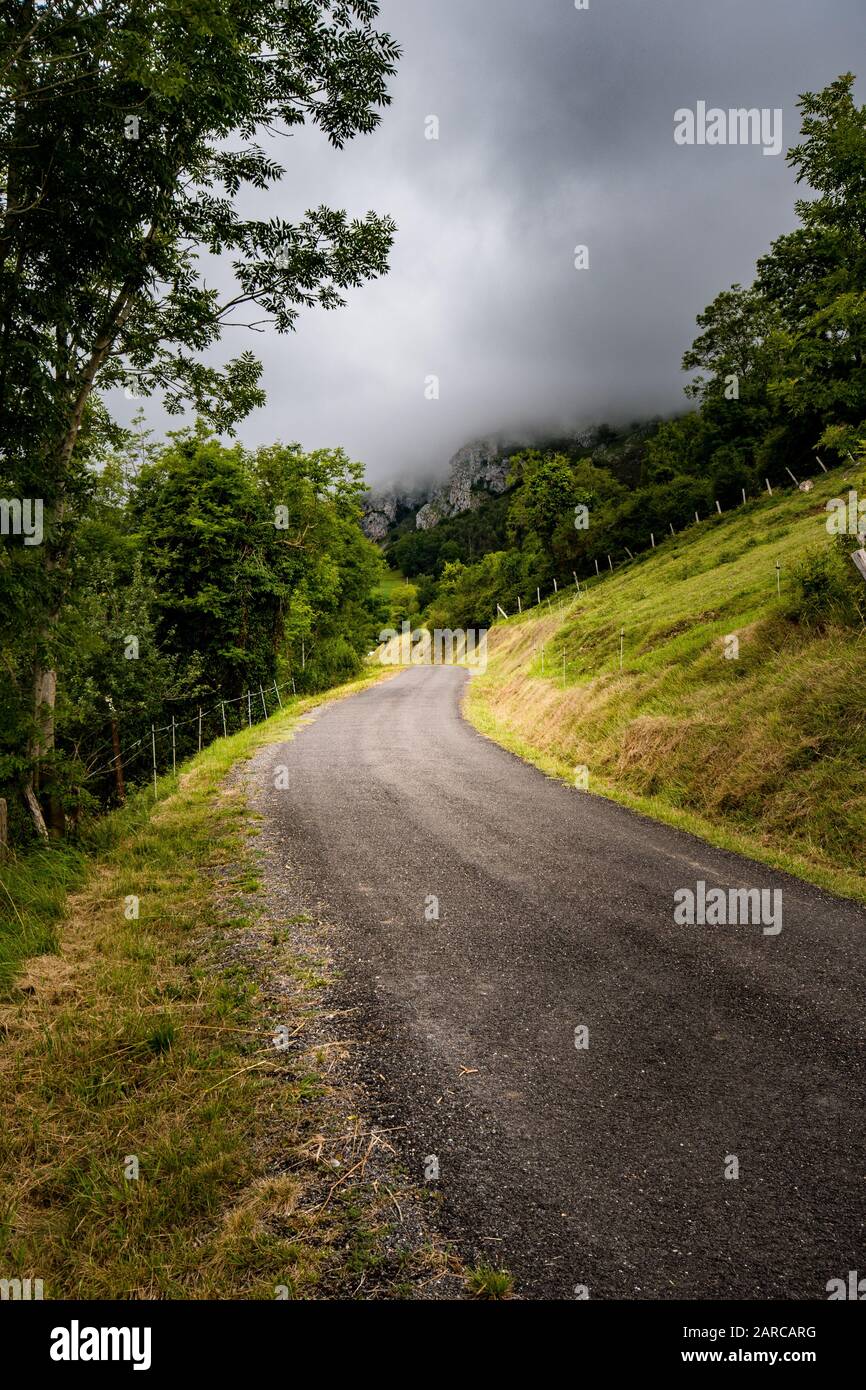 Road in mysterious forest hi-res stock photography and images - Alamy