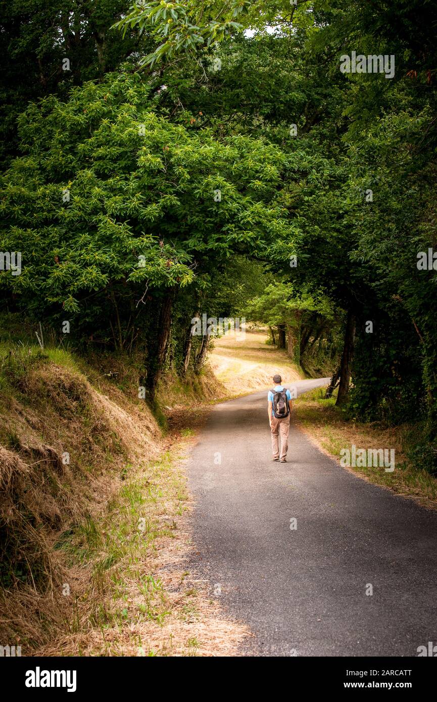 Mysterious pathway hi-res stock photography and images - Alamy