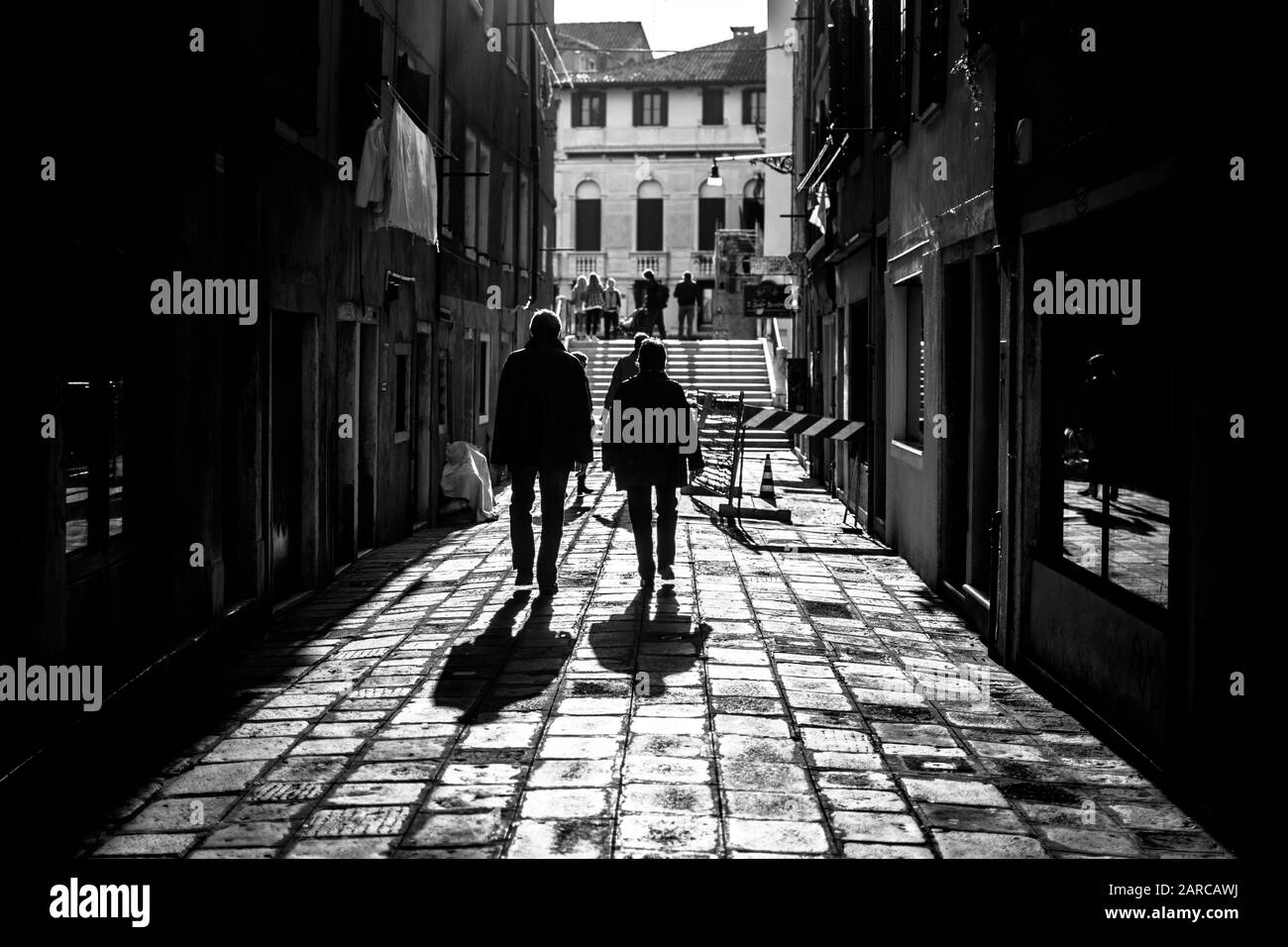 Shadow night garden foliage Black and White Stock Photos & Images - Alamy