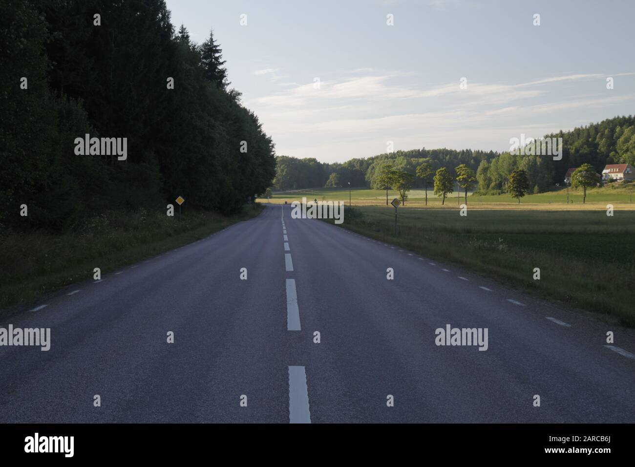 Long shot of an empty road with trees and greenery on the side of the ...