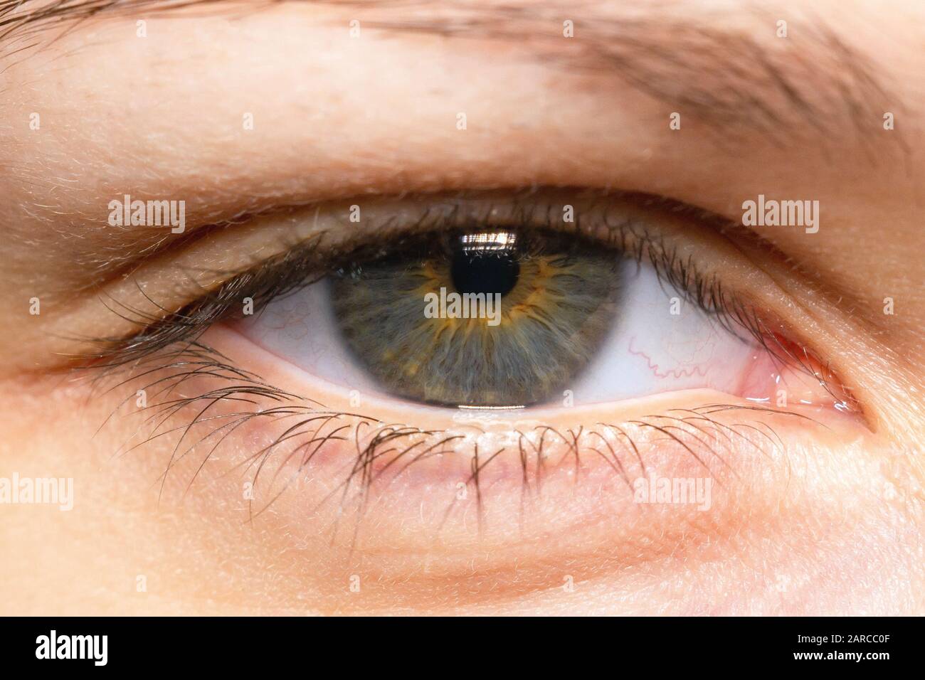 Macro view of woman's eye with natural makeup. Portrait of female eye's ...