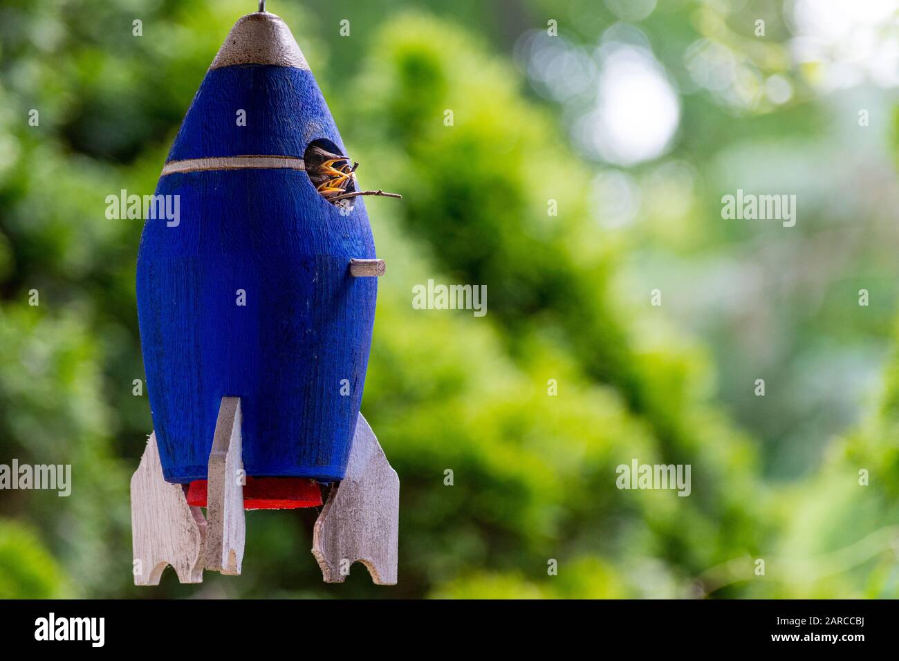 Vertical shot of a blue birds nest in the shape of a rocket with a ...