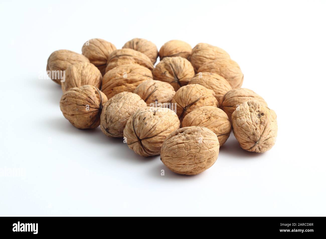 Walnut on the white background. Close up shot of whole walnut isolated ...
