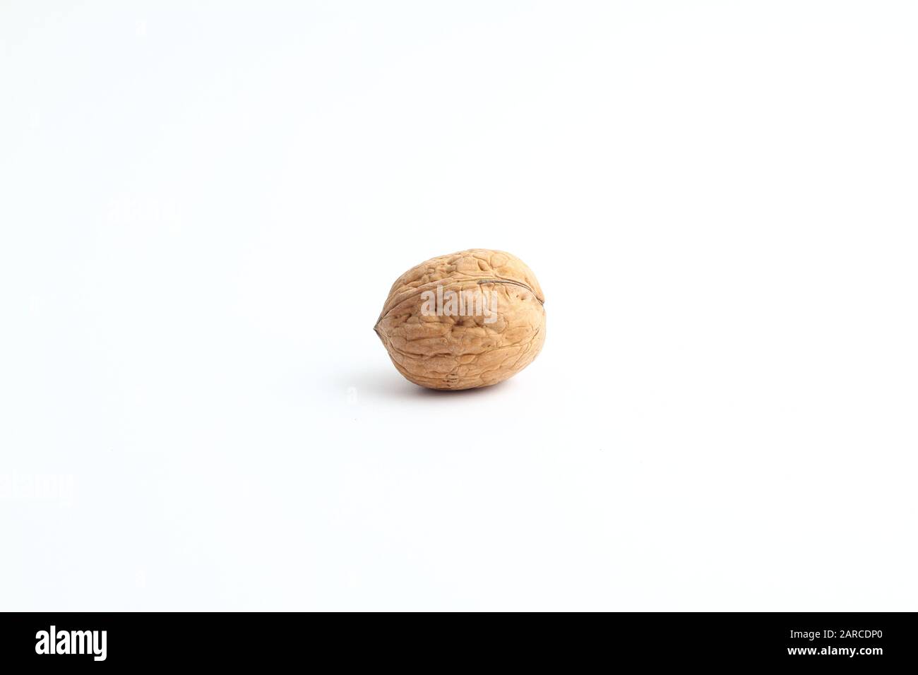 Walnut on the white background. Close up shot of whole walnut isolated ...