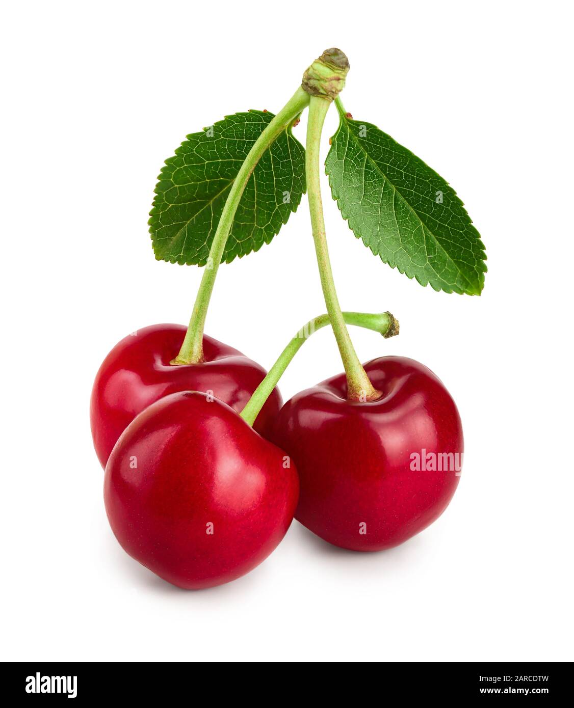 Three cherries with leaf closeup isolated on white background Stock ...