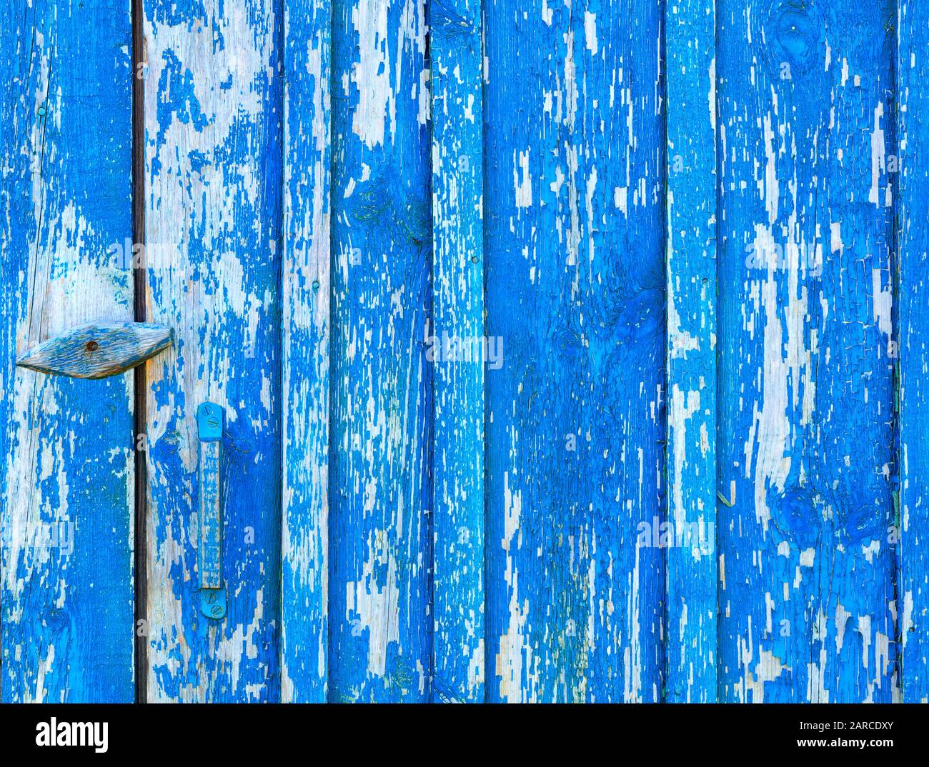 The old wooden texture is painted with blue weathered and peeling paint ...