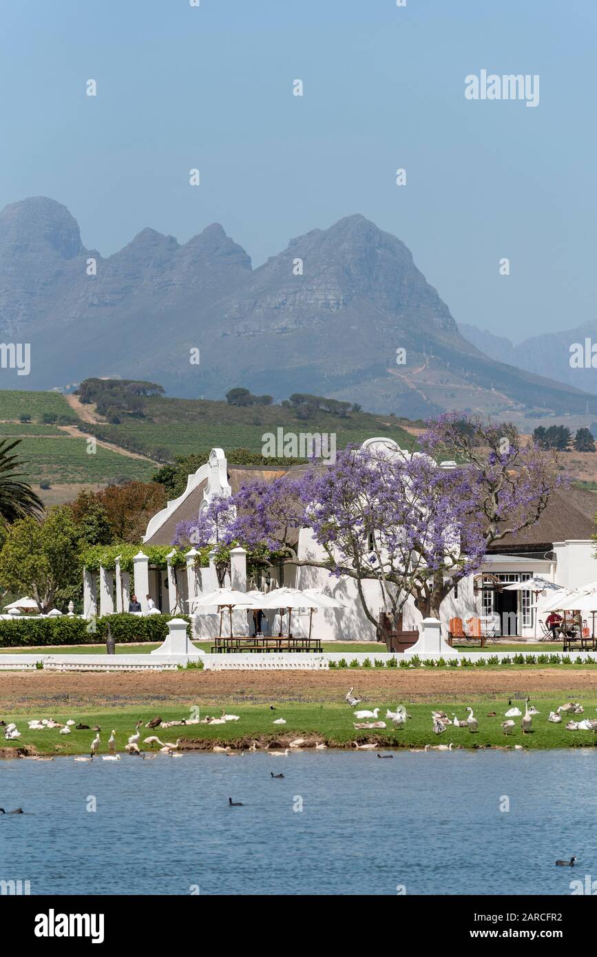 Faure, Stellenbosch, Western Cape, South Africa. The homestead of the ...