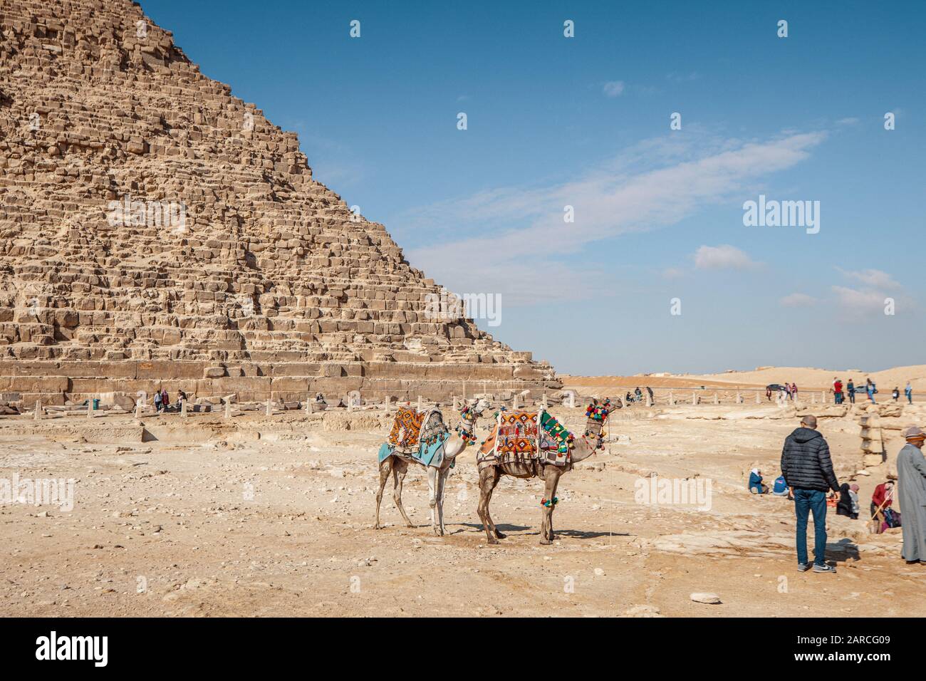 Wide angle shot of camels and people next to an Egyptian pyramid Stock ...