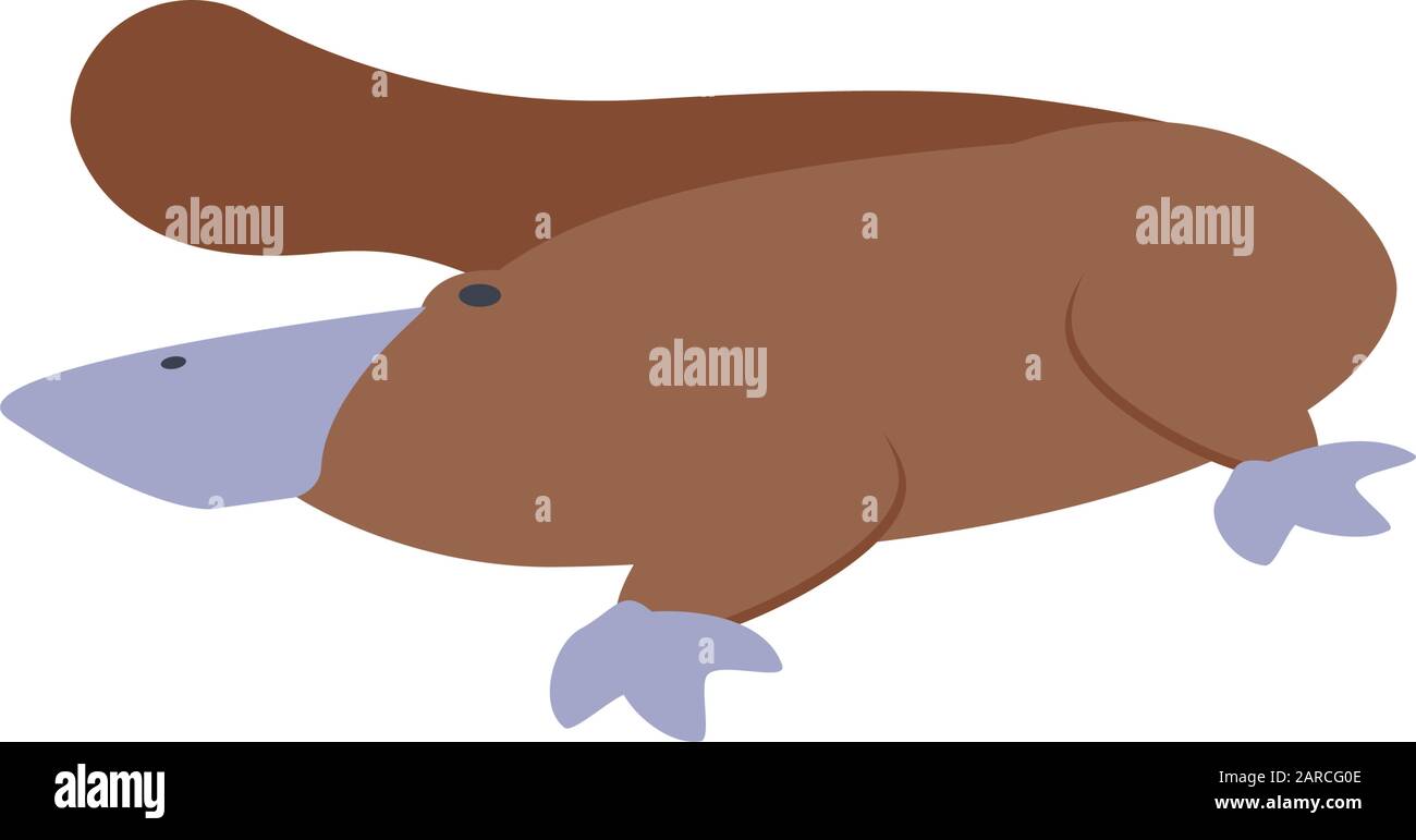 Cute australian platypus design, Animal wildlife life nature native ...