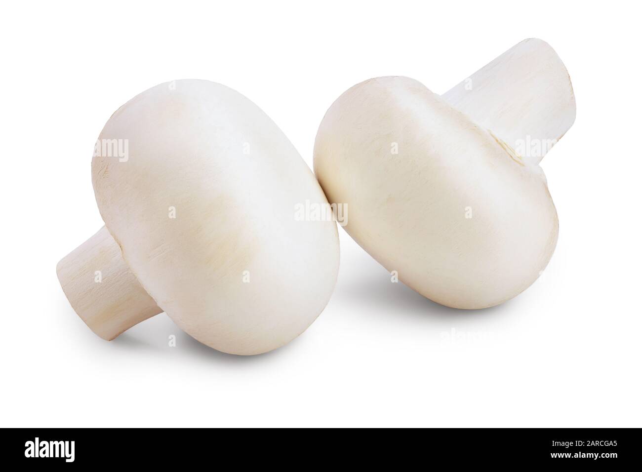 Fresh mushroom champignon isolated on white background with clipping ...