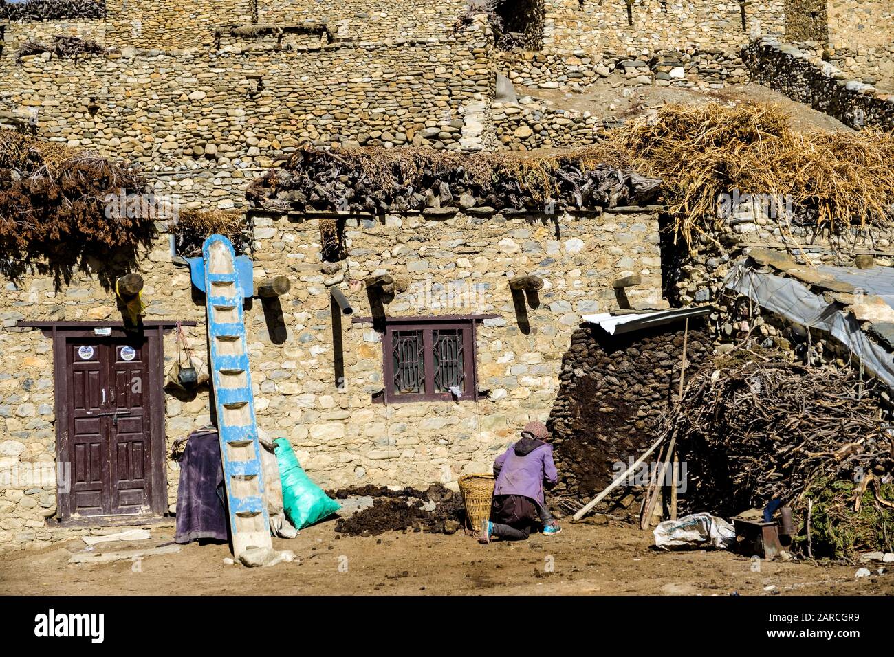 Yak dung, used for fuel, at the ethnically Tibetan village of Dho Tarap ...