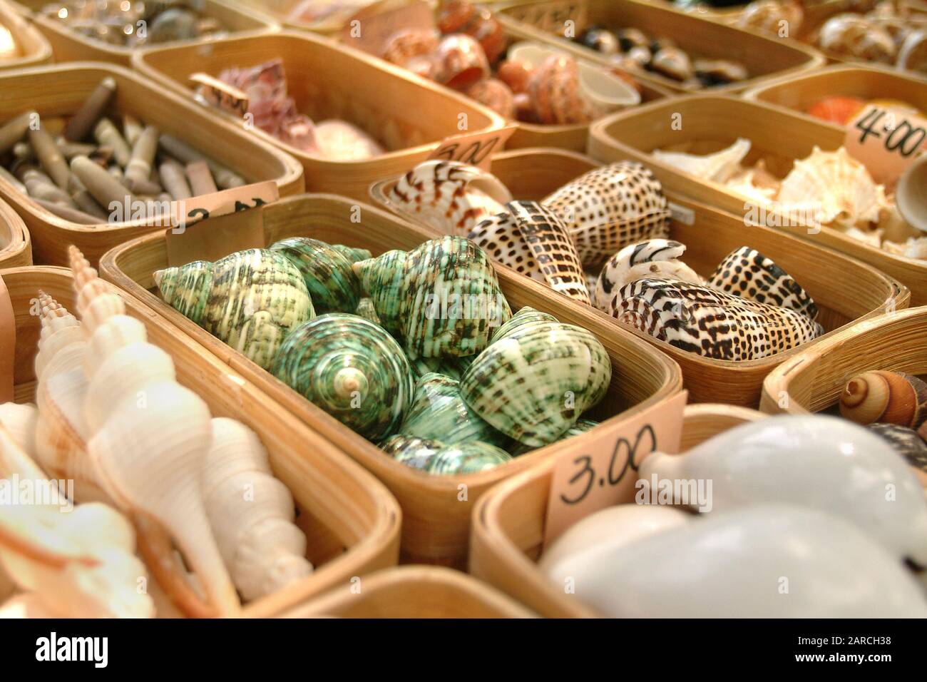 Shells collectible for sale on market stall Stock Photo - Alamy