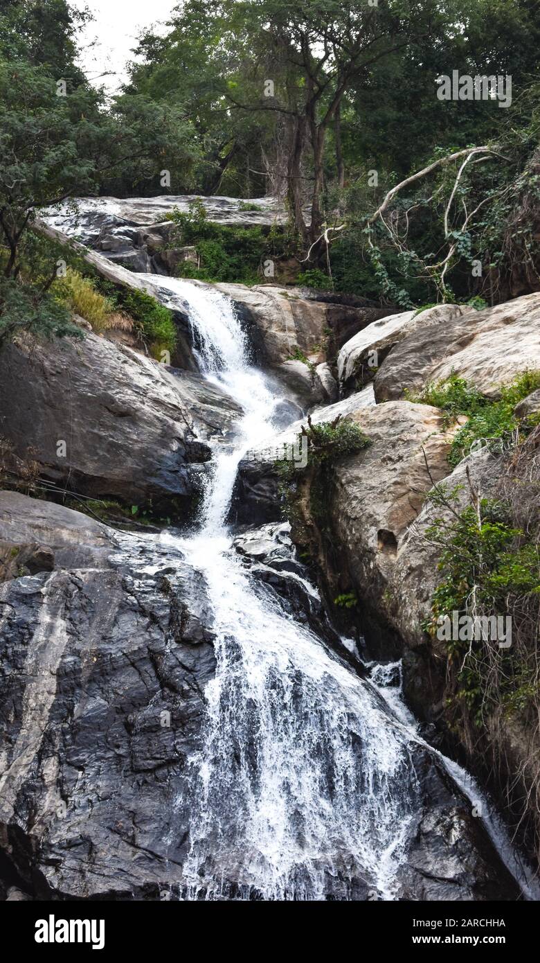 Valparai hi-res stock photography and images - Alamy