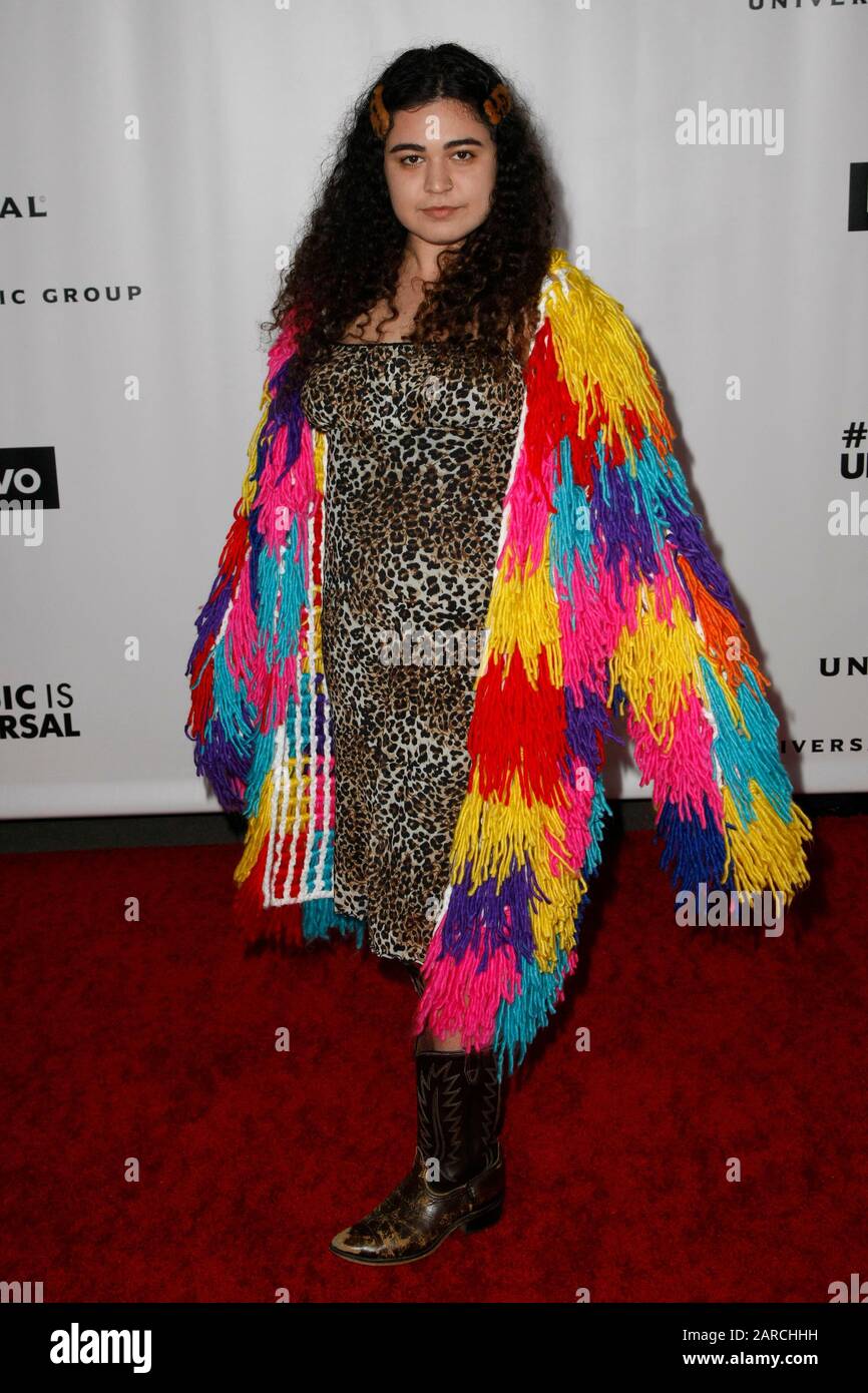 Los Angeles, California, USA. 26th Jan, 2020. Remi Wolf attends ...