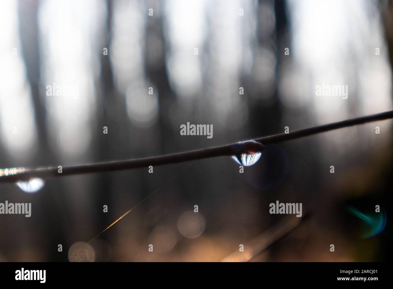 Rays and flare hi-res stock photography and images - Alamy